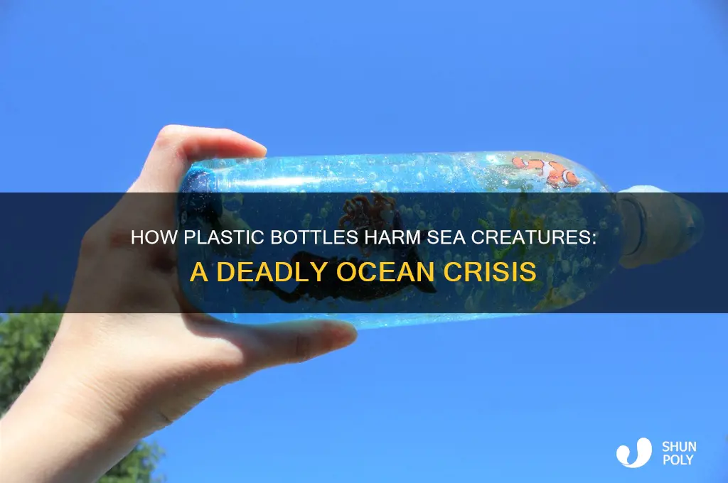 How Plastic Bottles Harm Sea Creatures: A Deadly Ocean Crisis | ShunPoly