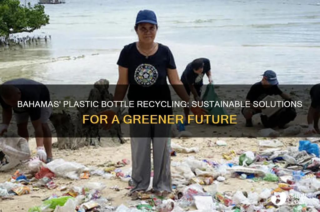 Bahamas' Plastic Bottle Recycling: Sustainable Solutions For A Greener ...