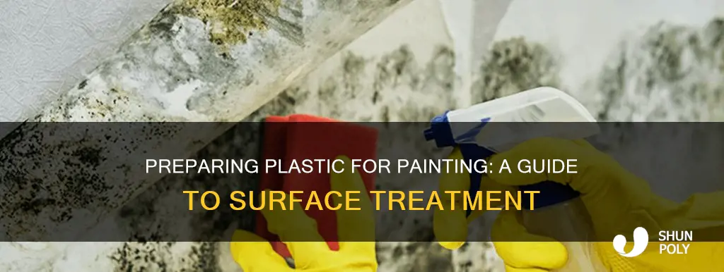 Preparing Plastic For Painting: A Guide To Surface Treatment | ShunPoly