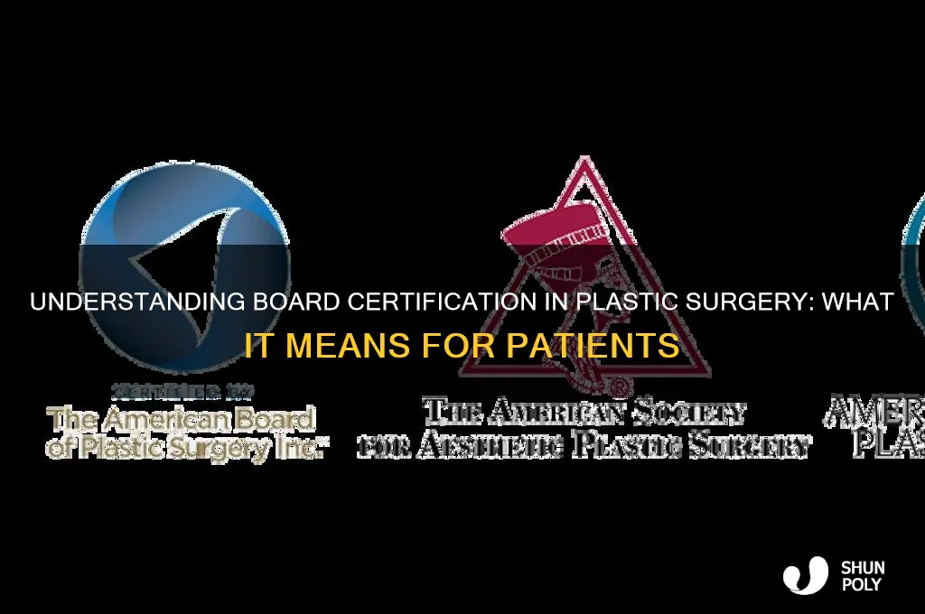 Understanding Board Certification In Plastic Surgery: What It Means For ...