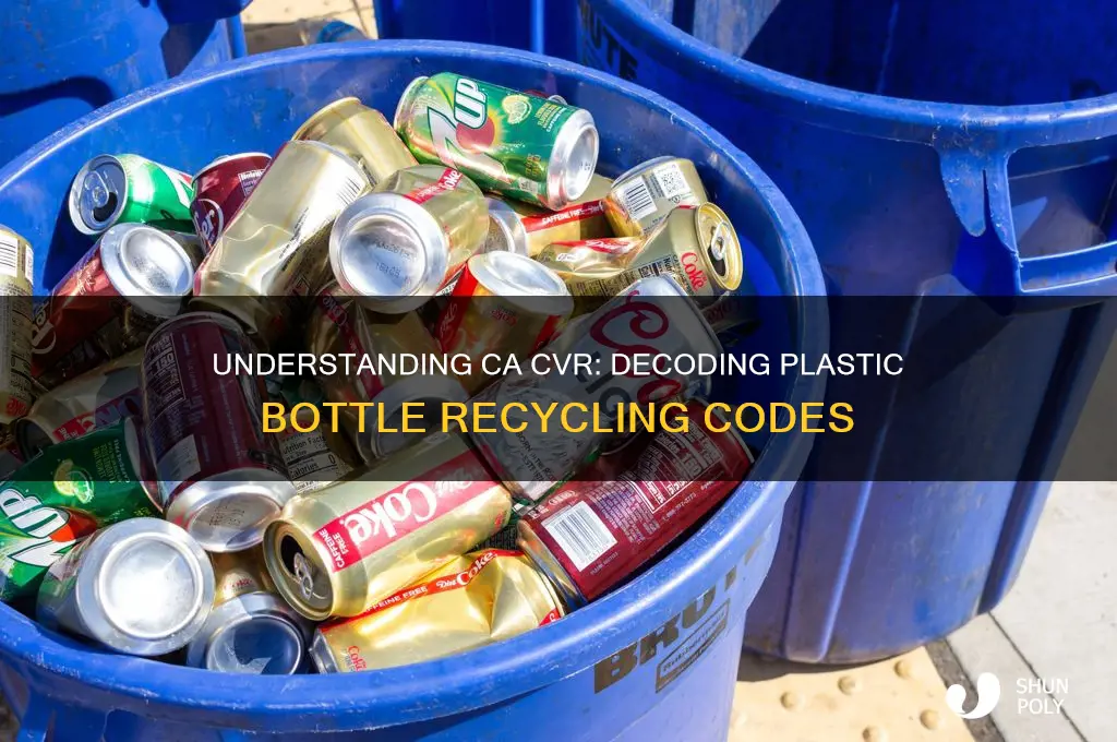 Understanding Ca Cvr: Decoding Plastic Bottle Recycling Codes | ShunPoly