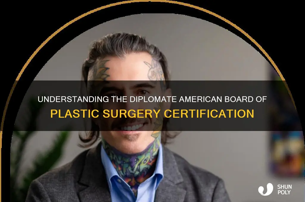 Understanding The Diplomate American Board Of Plastic Surgery ...