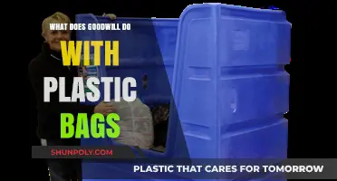 The Hidden Costs Of Plastic Bags: Production Expenses Explained | ShunPoly