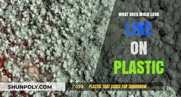 Understanding Plastic Markings: What Do Those Symbols Mean? | ShunPoly