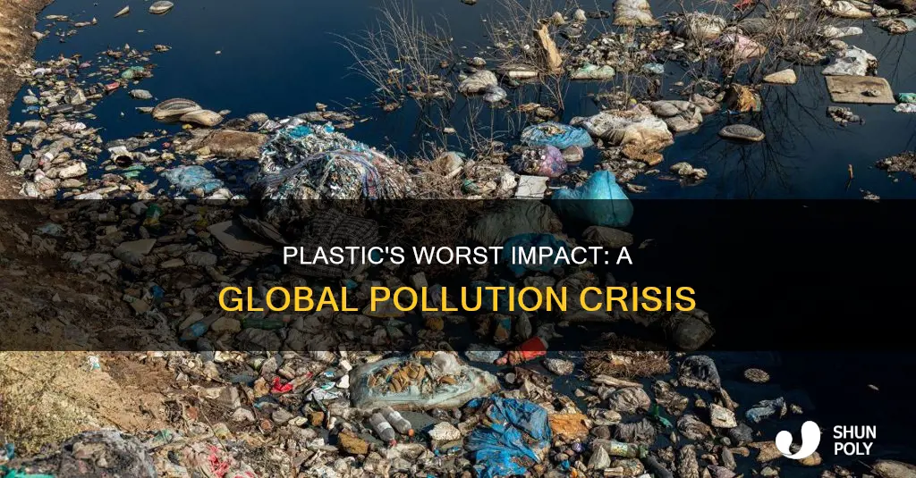Plastic's Worst Impact: A Global Pollution Crisis | ShunPoly