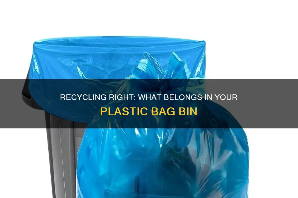 Recycling Right: What Belongs In Your Plastic Bag Bin | ShunPoly