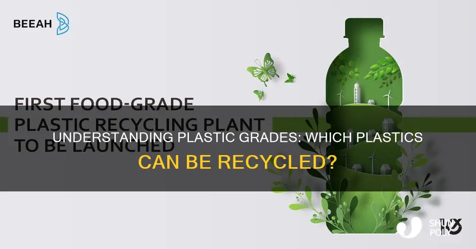 Understanding Plastic Grades: Which Plastics Can Be Recycled? | ShunPoly