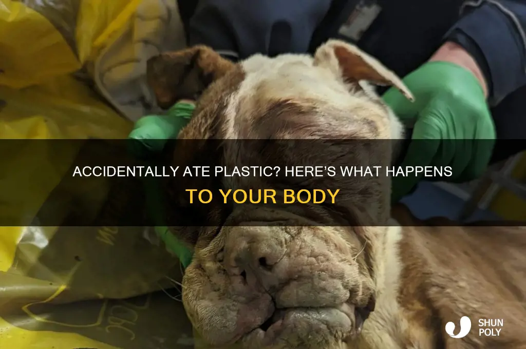 Accidentally Ate Plastic? Here’S What Happens To Your Body | ShunPoly