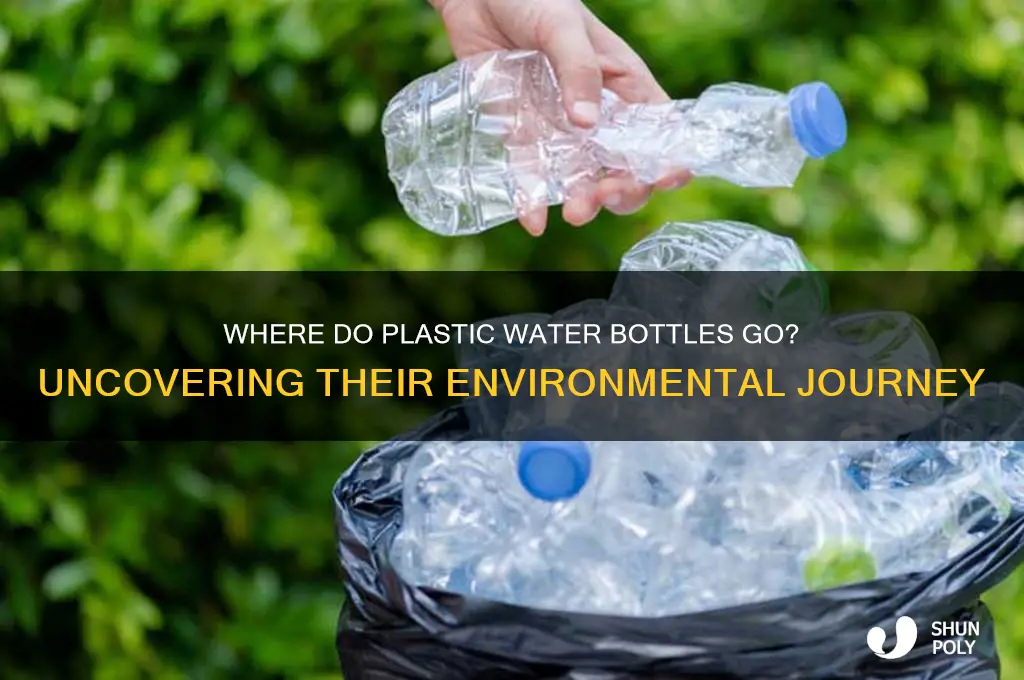 Where Do Plastic Water Bottles Go? Uncovering Their Environmental ...
