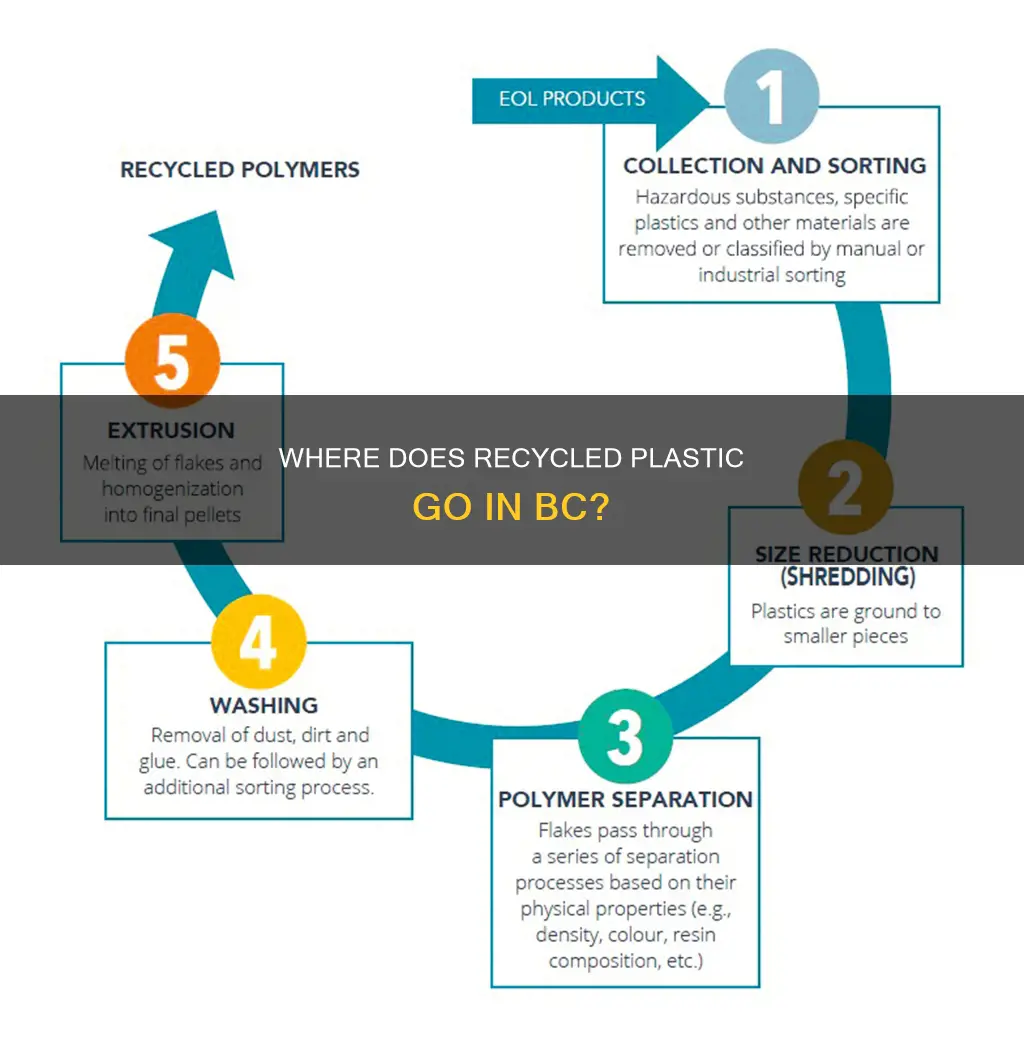 Where Does Recycled Plastic Go In Bc? | ShunPoly