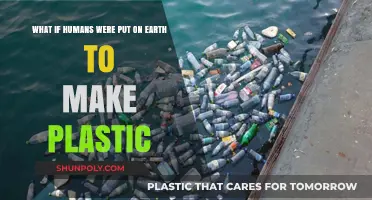 Toxic Fumes: What Gases Does Burning Plastic Release Into The Air ...