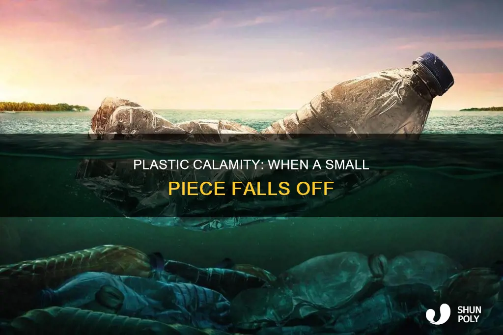 Plastic Calamity: When A Small Piece Falls Off | ShunPoly