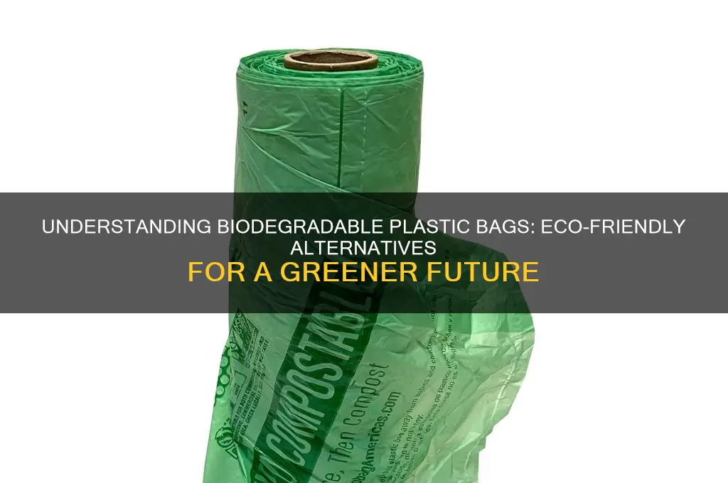Understanding Biodegradable Plastic Bags: Eco-Friendly Alternatives For ...