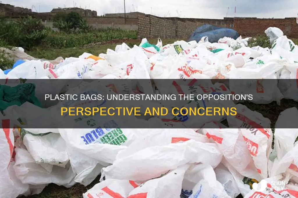Plastic Bags: Understanding The Opposition's Perspective And Concerns ...