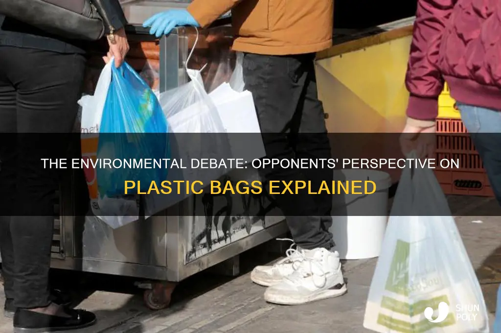 The Environmental Debate: Opponents' Perspective On Plastic Bags ...