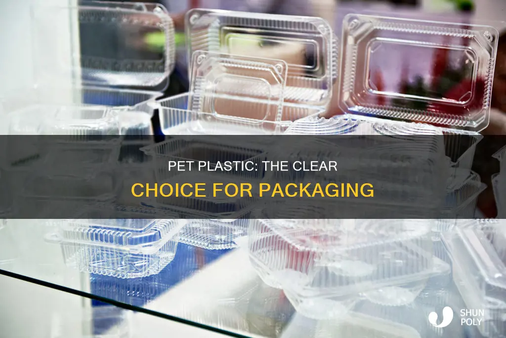 Pet Plastic: The Clear Choice For Packaging | ShunPoly