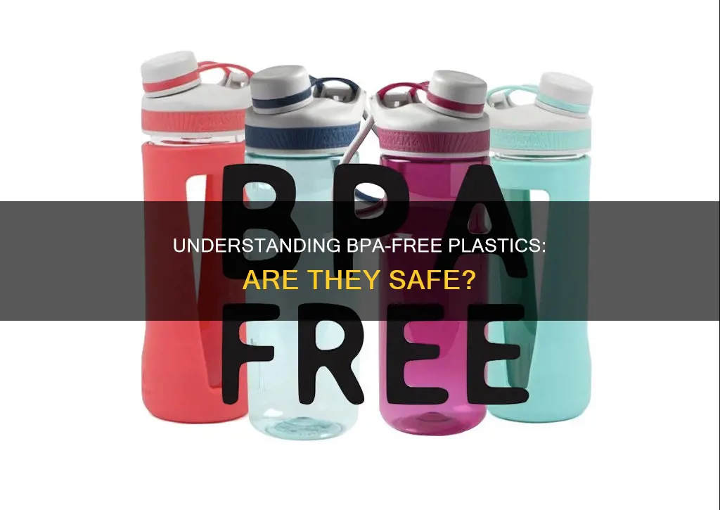 Understanding Bpa-Free Plastics: Are They Safe? | ShunPoly