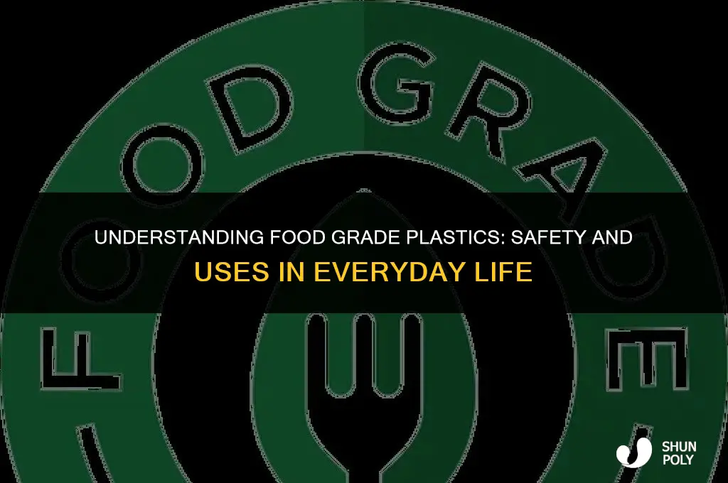 Understanding Food Grade Plastics: Safety And Uses In Everyday Life ...