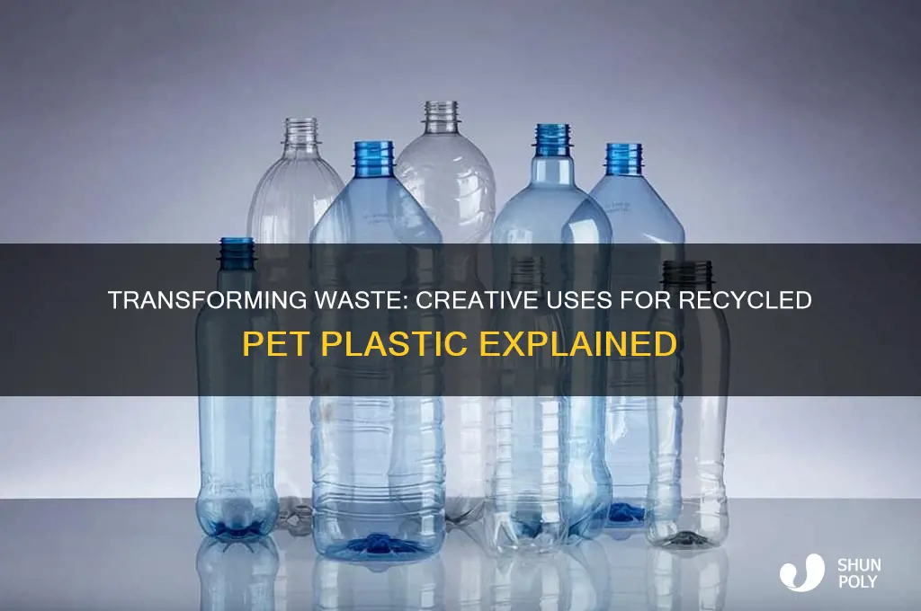 Transforming Waste: Creative Uses For Recycled Pet Plastic Explained ...