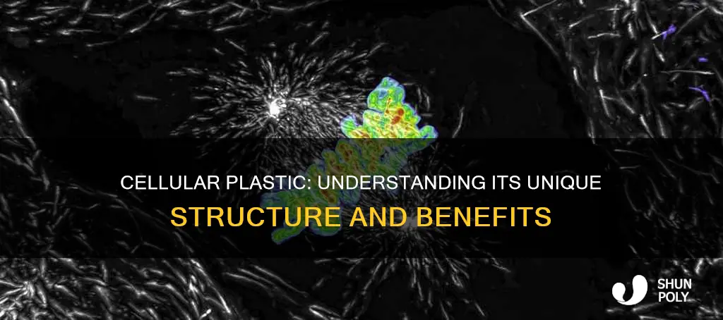 Cellular Plastic: Understanding Its Unique Structure And Benefits ...