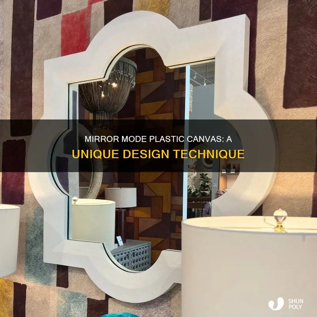 Mirror Mode Plastic Canvas: A Unique Design Technique | ShunPoly