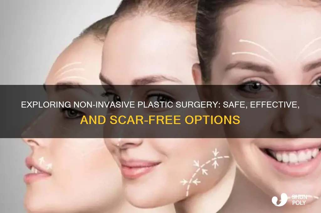 Exploring Non-Invasive Plastic Surgery: Safe, Effective, And Scar-Free ...