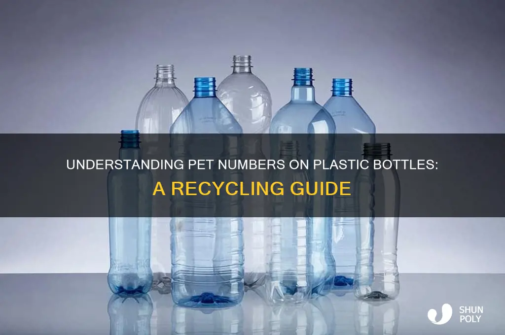 Understanding Pet Numbers On Plastic Bottles: A Recycling Guide | ShunPoly