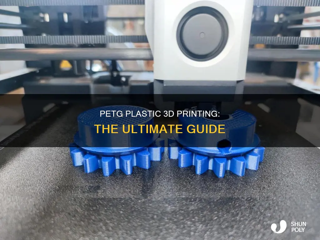 Petg Plastic 3D Printing: The Ultimate Guide | ShunPoly