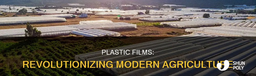 Plastic Films: Revolutionizing Modern Agriculture | ShunPoly