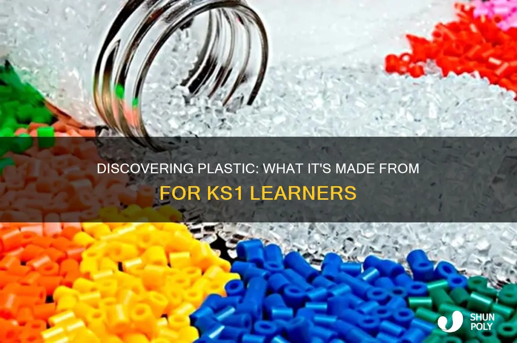 Discovering Plastic: What It's Made From For Ks1 Learners | ShunPoly