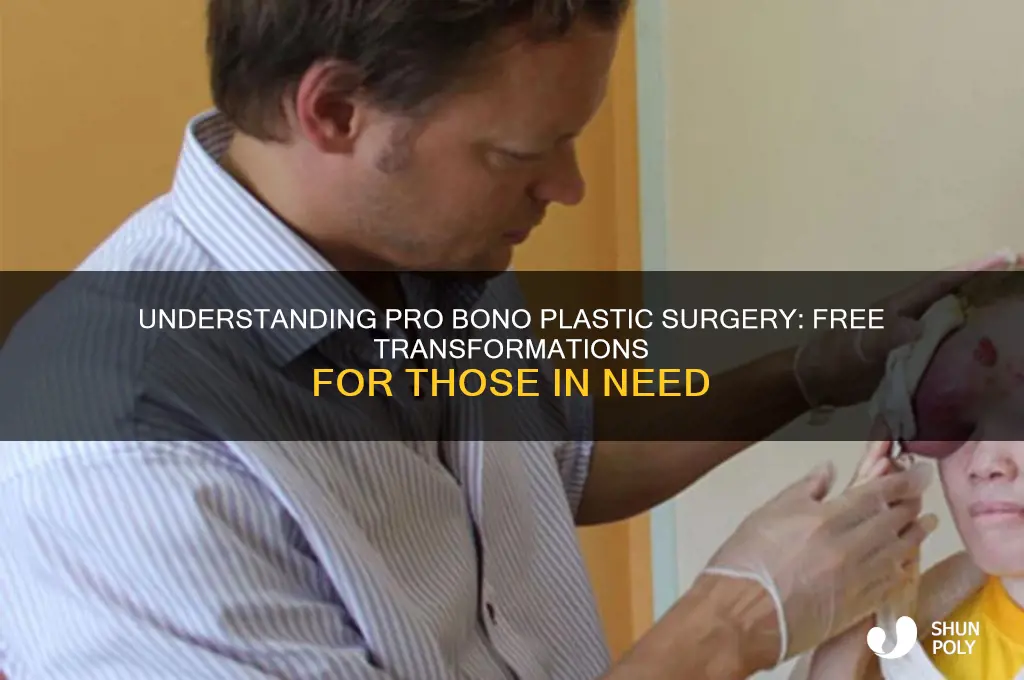 Understanding Pro Bono Plastic Surgery: Free Transformations For Those ...