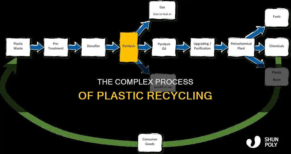 The Complex Process Of Plastic Recycling | ShunPoly