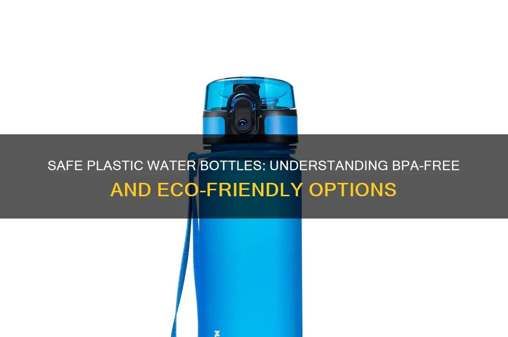 Safe Plastic Water Bottles: Understanding Bpa-Free And Eco-Friendly ...