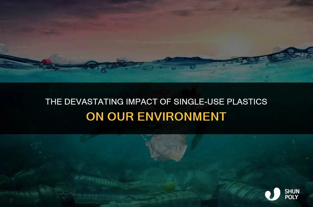 The Devastating Impact Of Single-Use Plastics On Our Environment | ShunPoly