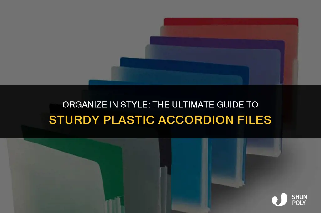 Organize In Style: The Ultimate Guide To Sturdy Plastic Accordion Files ...