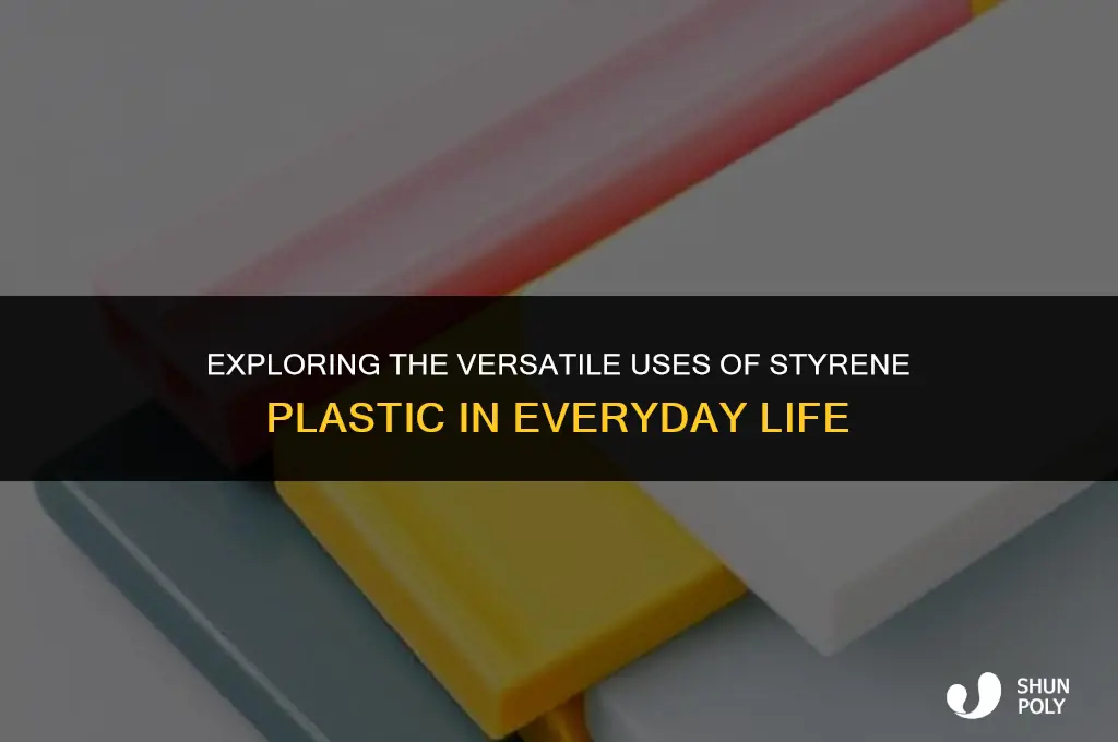 Exploring The Versatile Uses Of Styrene Plastic In Everyday Life | ShunPoly