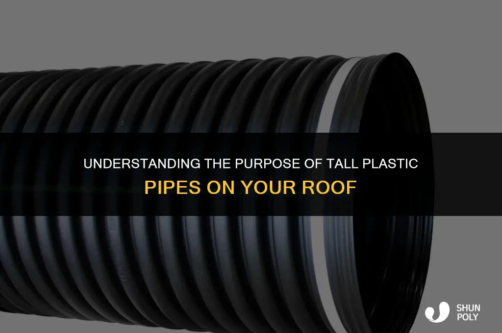 Understanding The Purpose Of Tall Plastic Pipes On Your Roof | ShunPoly