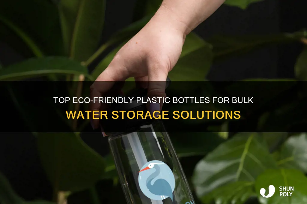 Top Eco-Friendly Plastic Bottles For Bulk Water Storage Solutions ...