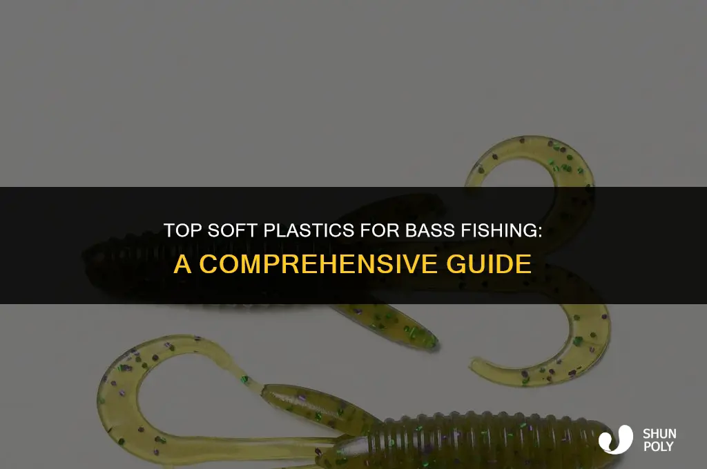 Top Soft Plastics For Bass Fishing: A Comprehensive Guide | ShunPoly