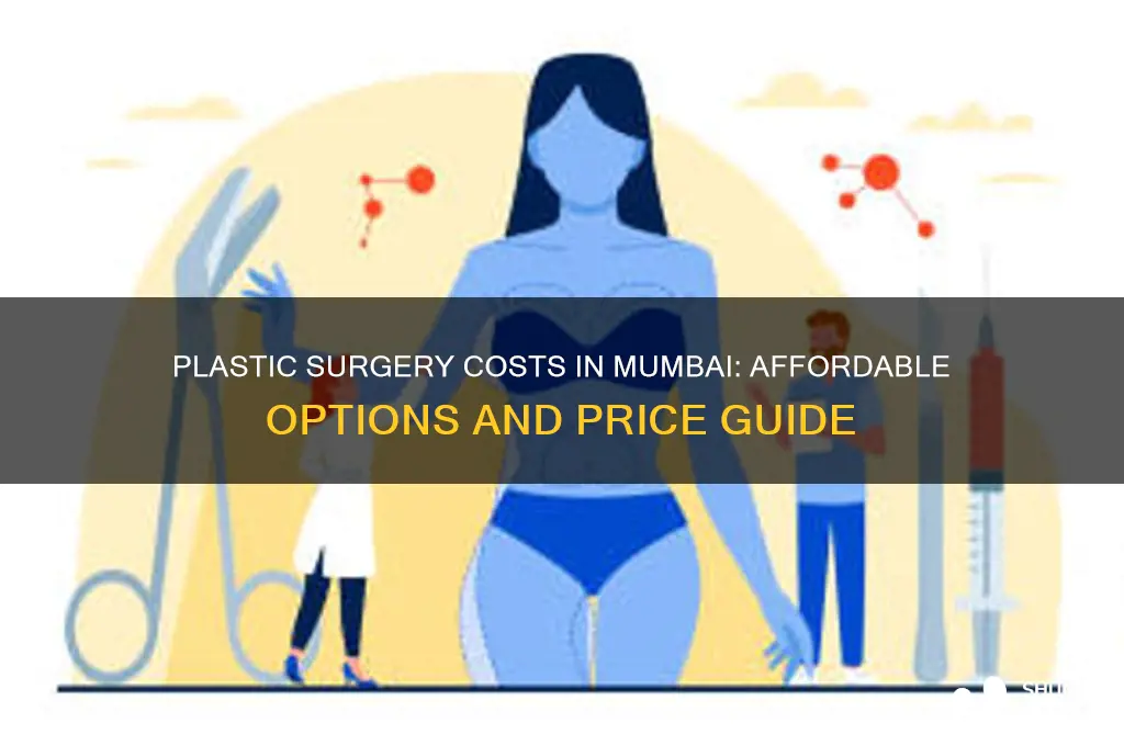 Plastic Surgery Costs In Mumbai: Affordable Options And Price Guide ...