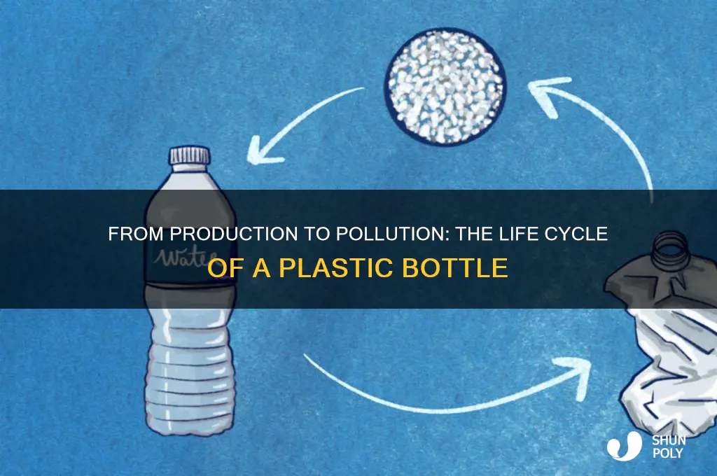 From Production To Pollution: The Life Cycle Of A Plastic Bottle | ShunPoly