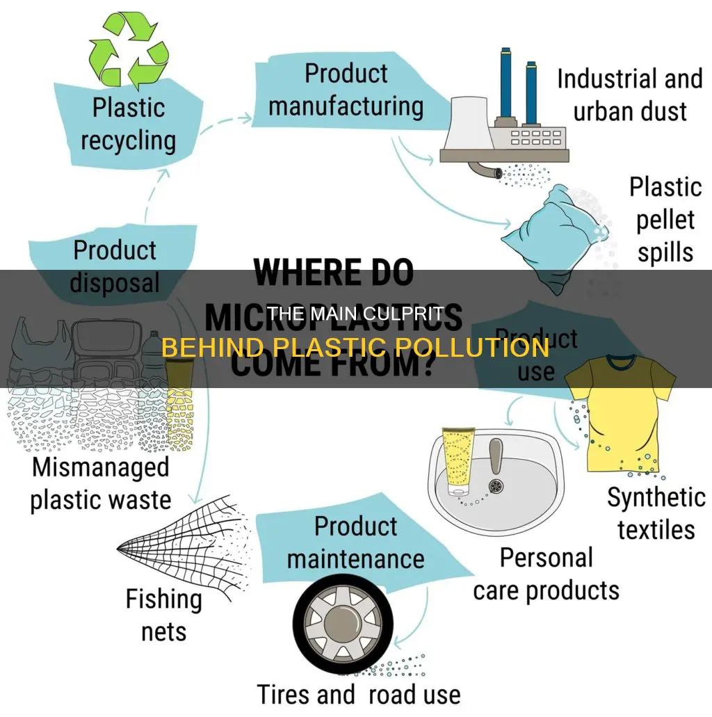 The Main Culprit Behind Plastic Pollution | ShunPoly