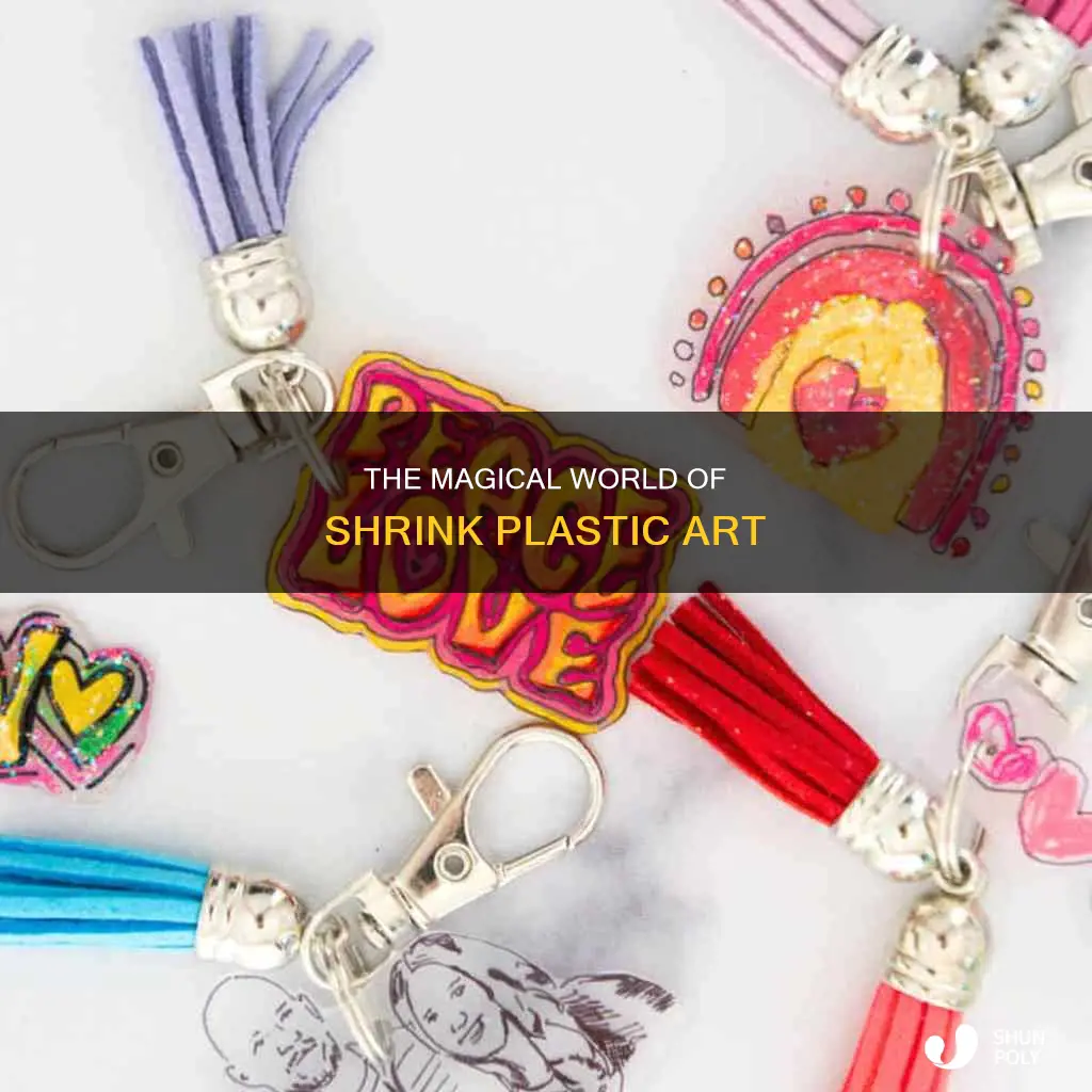 The Magical World Of Shrink Plastic Art | ShunPoly