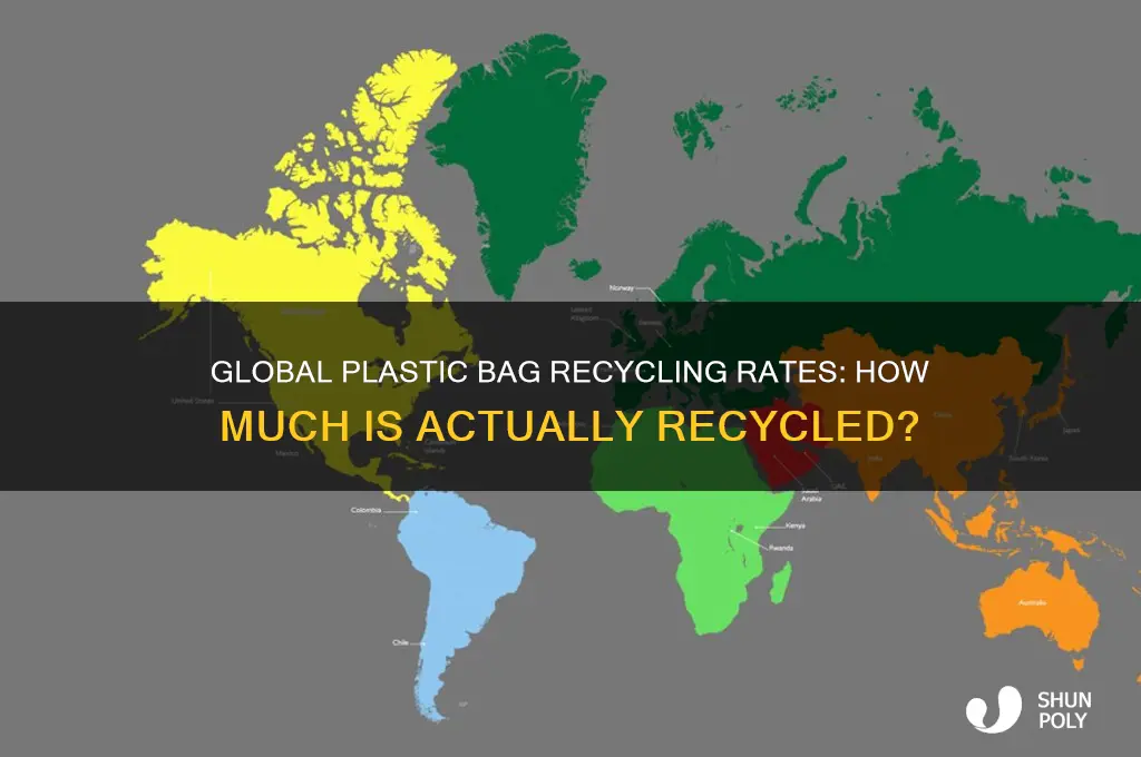 Global Plastic Bag Recycling Rates: How Much Is Actually Recycled ...