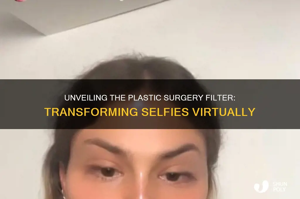 Unveiling The Plastic Surgery Filter: Transforming Selfies Virtually ...