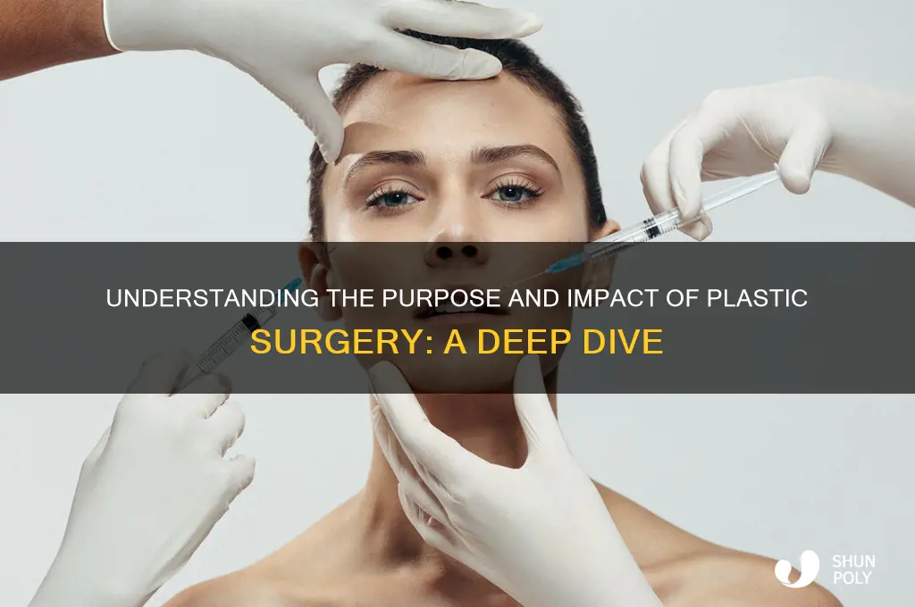 Understanding The Purpose And Impact Of Plastic Surgery: A Deep Dive ...