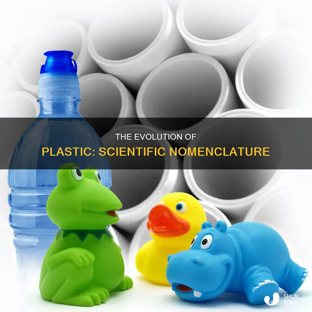 The Evolution Of Plastic: Scientific Nomenclature | ShunPoly
