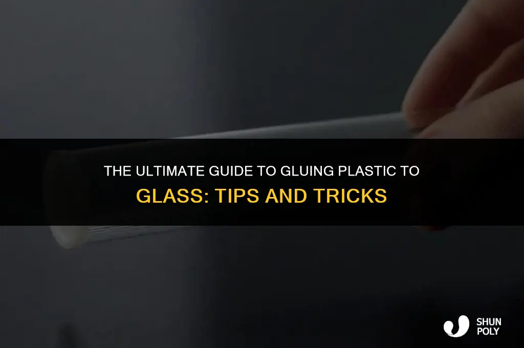 The Ultimate Guide To Gluing Plastic To Glass: Tips And Tricks | ShunPoly