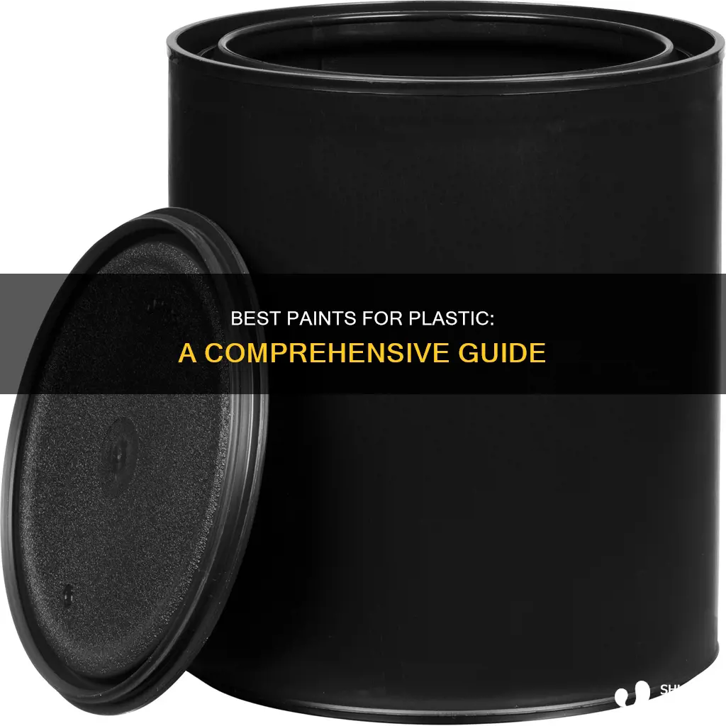 Best Paints For Plastic: A Comprehensive Guide | ShunPoly