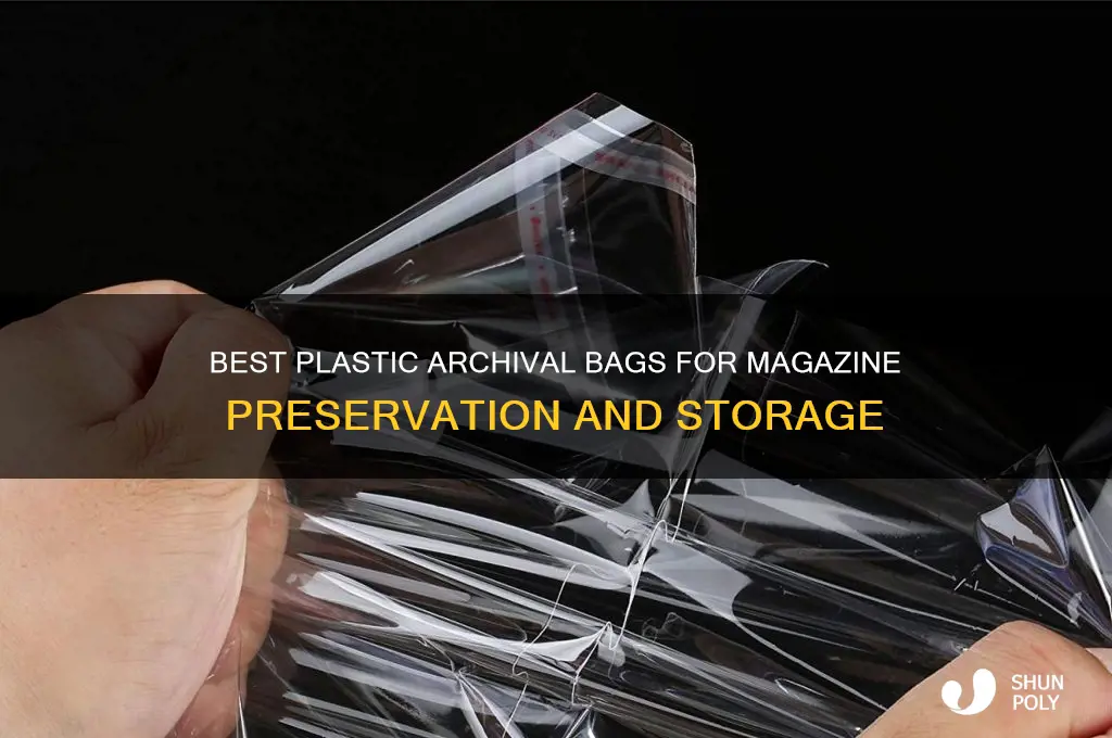 Best Plastic Archival Bags For Magazine Preservation And Storage | ShunPoly